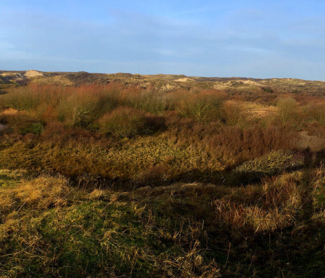 10 fotogenieke plekken - Nationaal Park Hollandse Duinen