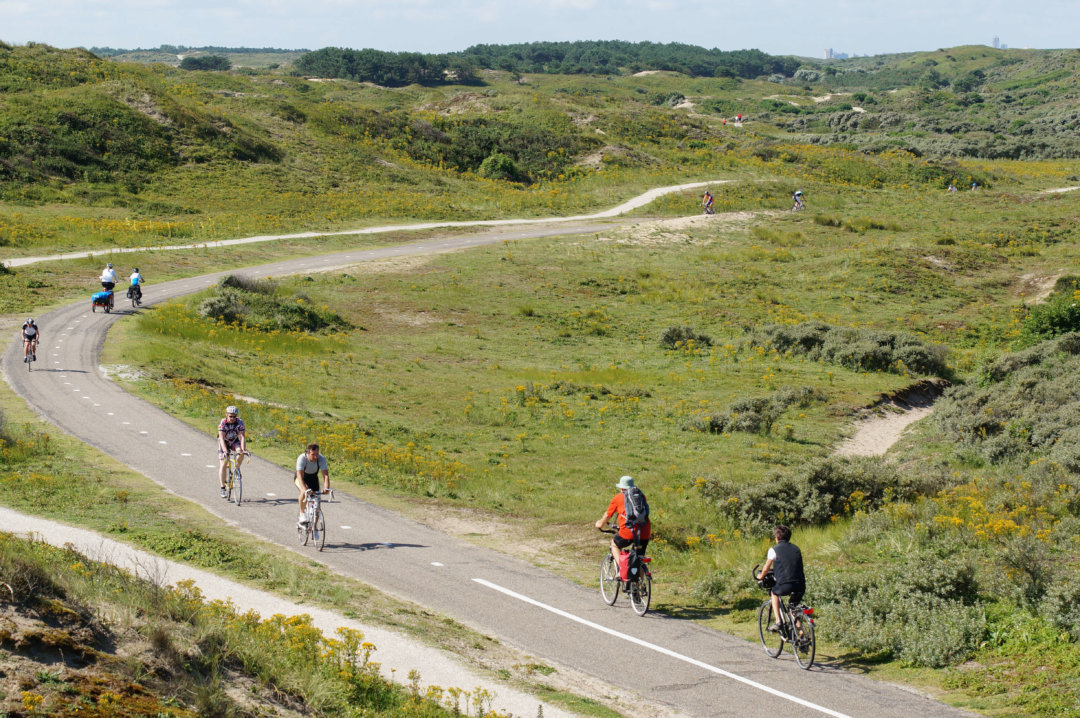 Ligging van het gebied - Nationaal Park Hollandse Duinen