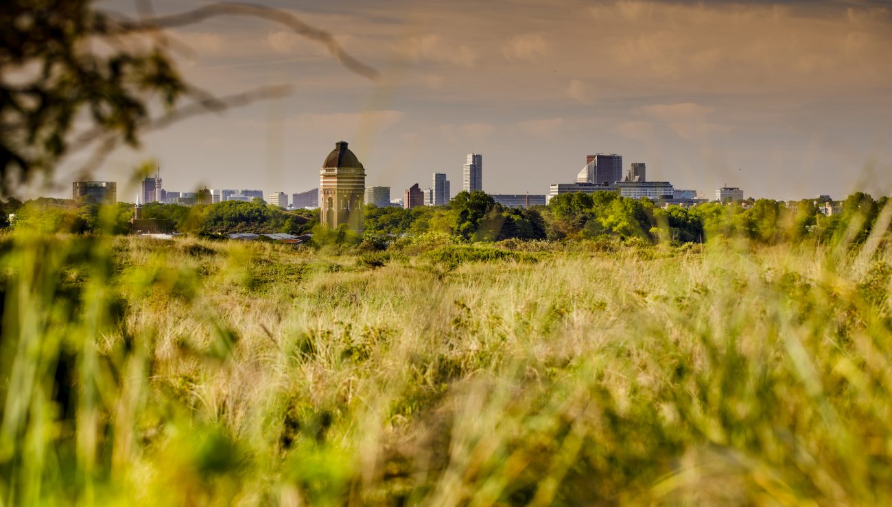 Westduinpark - Nationaal Park Hollandse Duinen