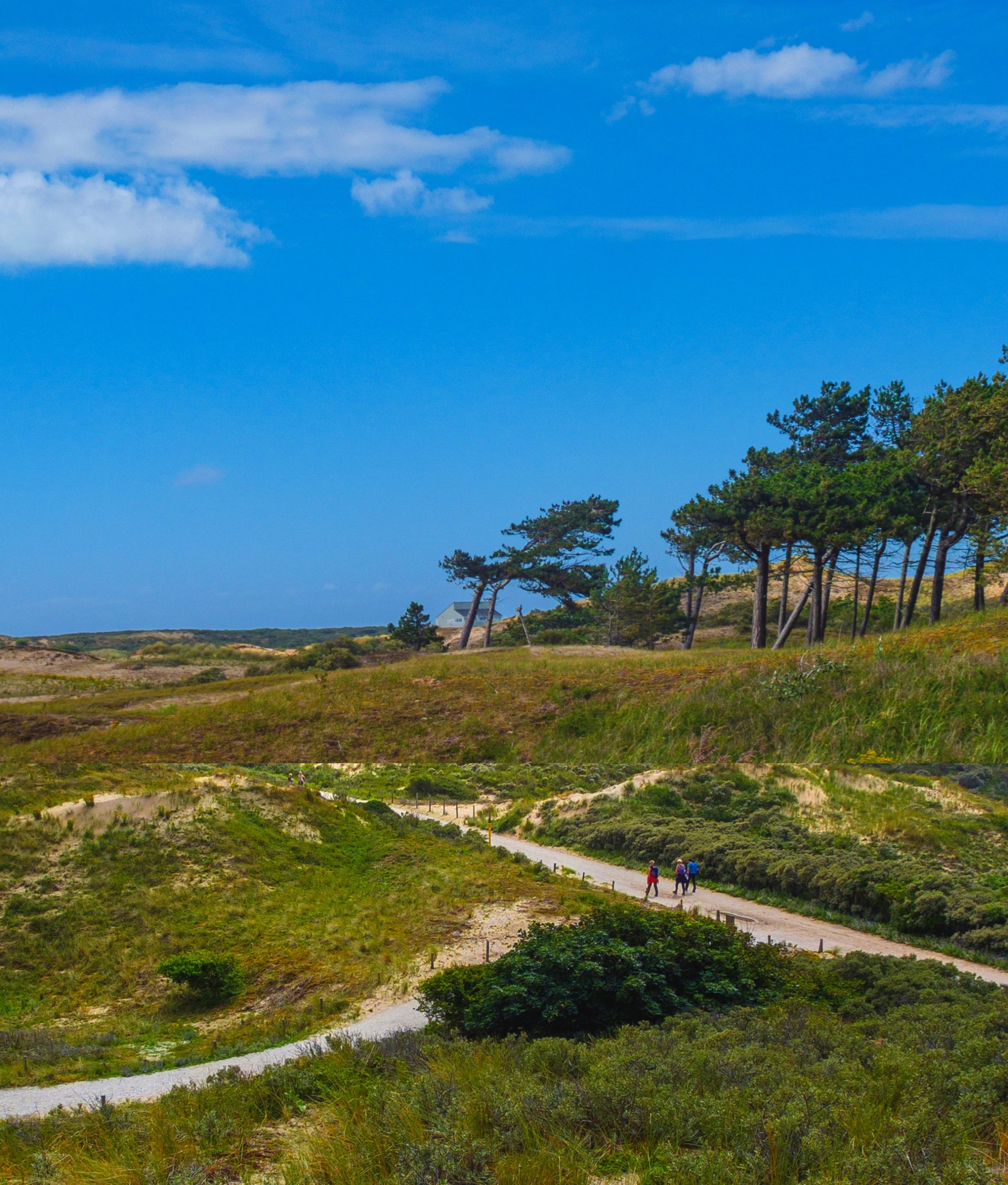 Ontdek prachtige uitzichten in Noordwijk - Nationaal Park Hollandse Duinen